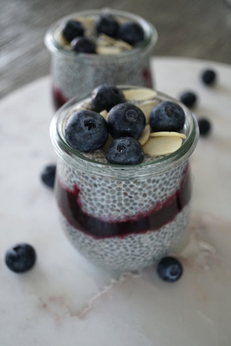 blueberry chia seed pudding – KETO Dieting